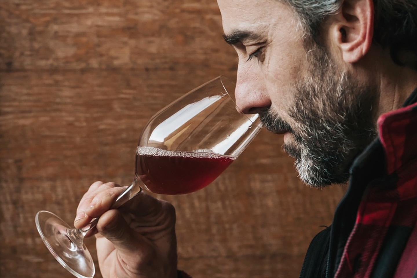 Oronce de Beler, domador de cervejas selvagens - Acre Notícias